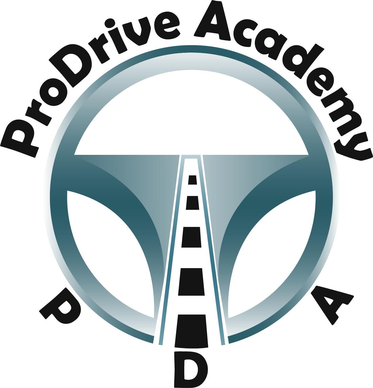 Pro Drive - Dashboard